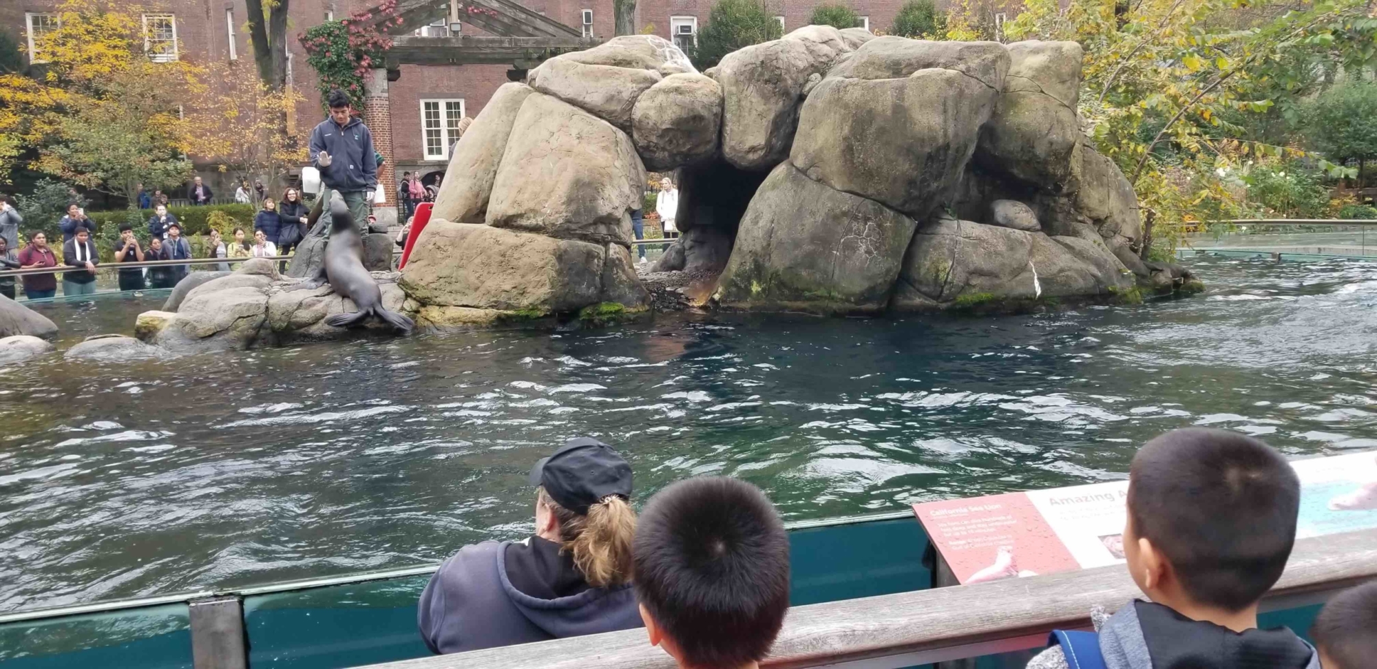 School Trips – PS42M – The Benjamin Altman School